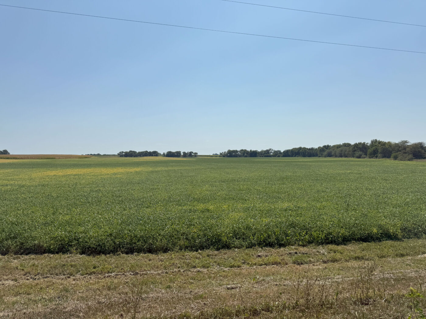 Rogers Farm Auction - Heartland Bank and Trust Company